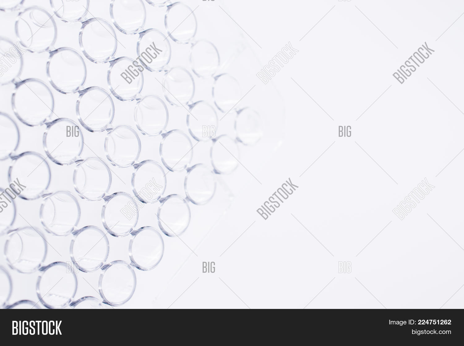 96 Well Plate. Image & Photo (Free Trial) | Bigstock