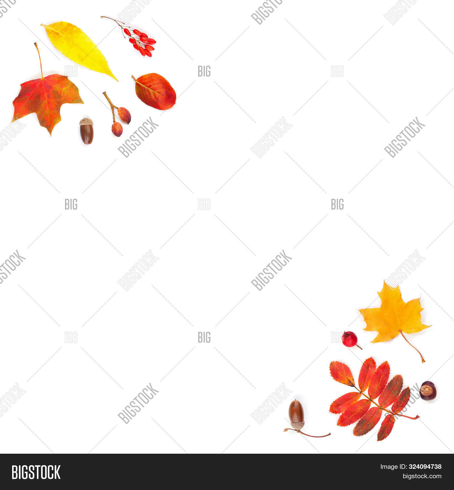 Fall Leaves Corners Image & Photo (Free Trial) | Bigstock