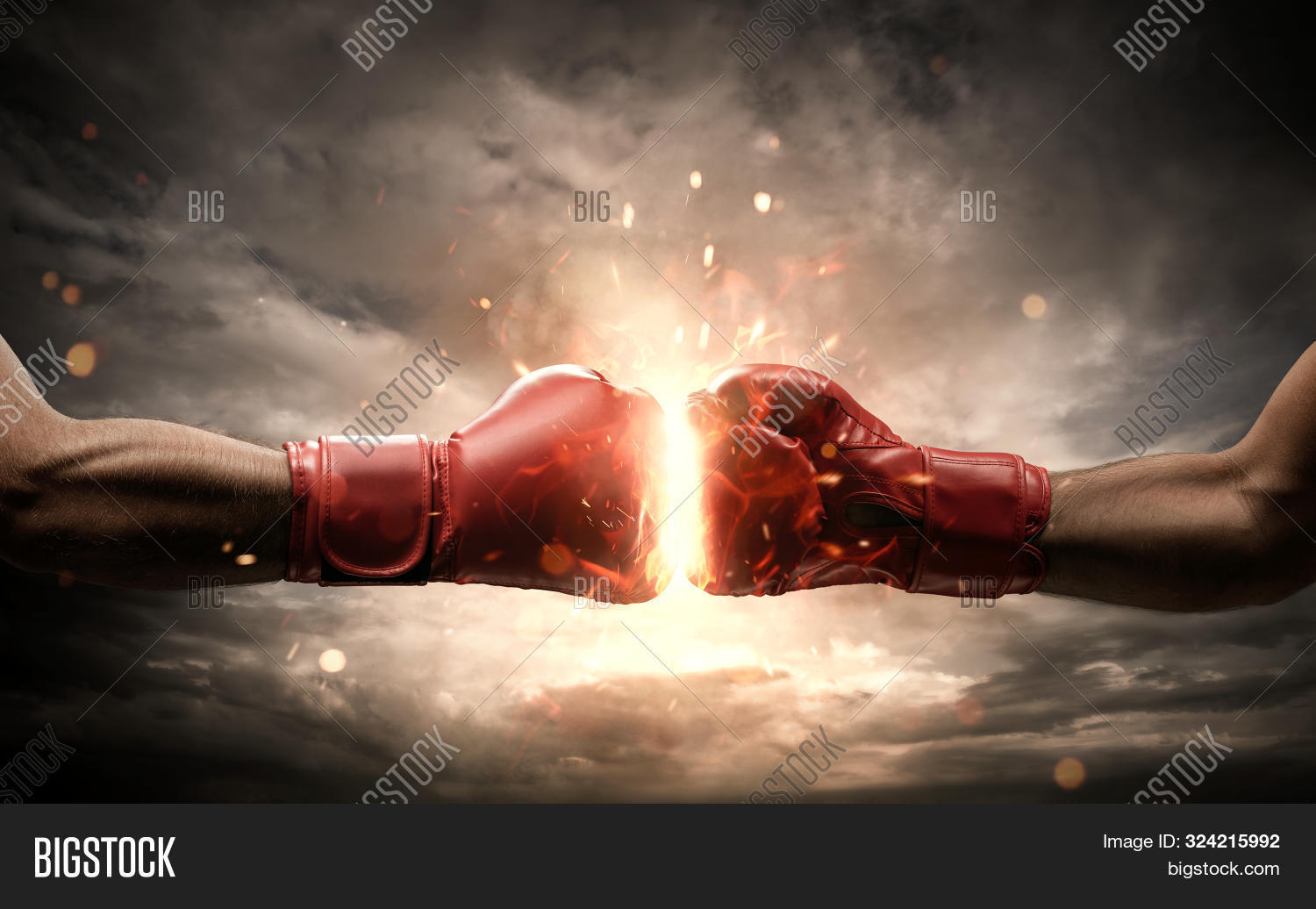 Boxing Fight, Close Image & Photo (Free Trial) | Bigstock