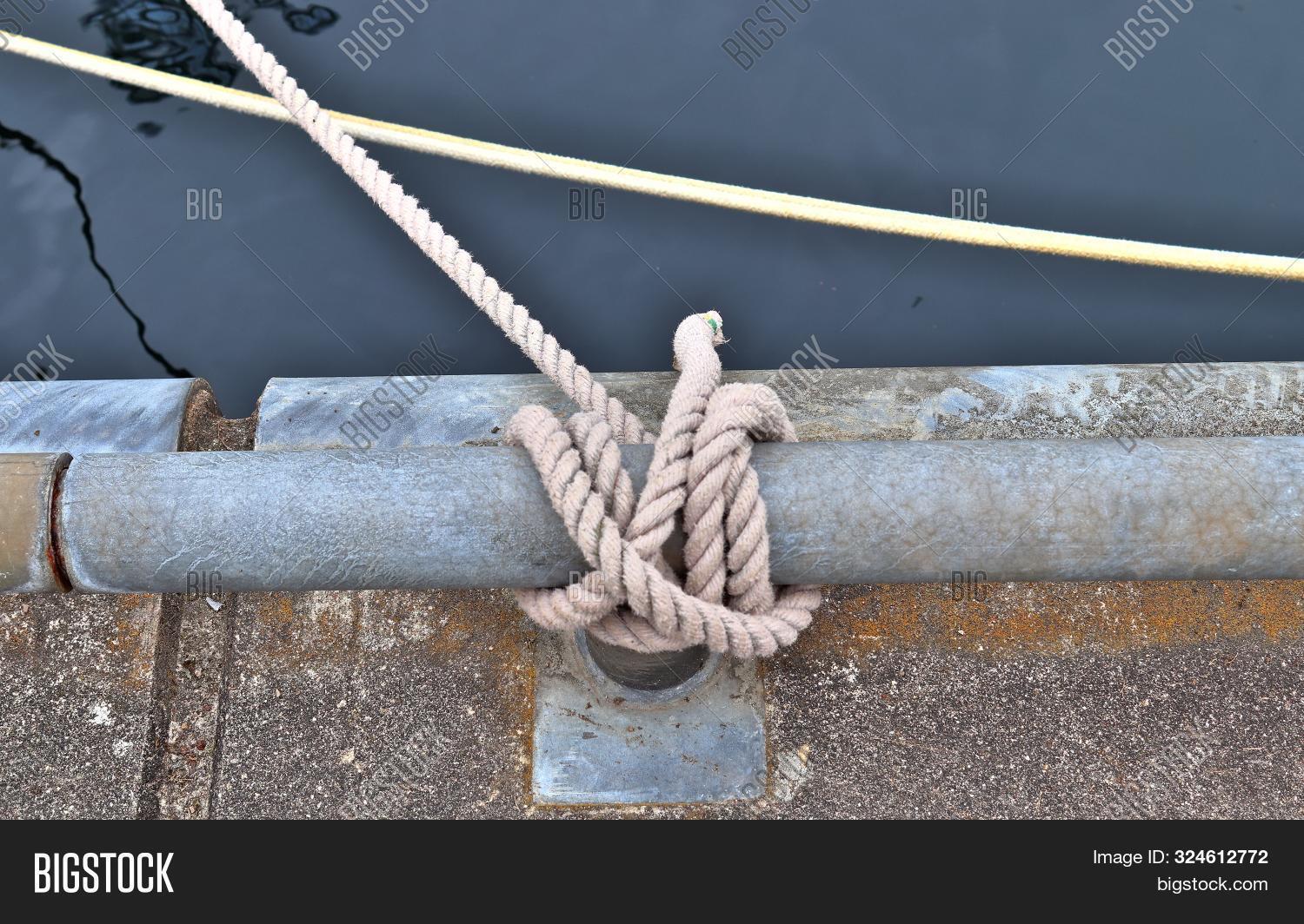 Detailed Close Detail Image & Photo (Free Trial) | Bigstock