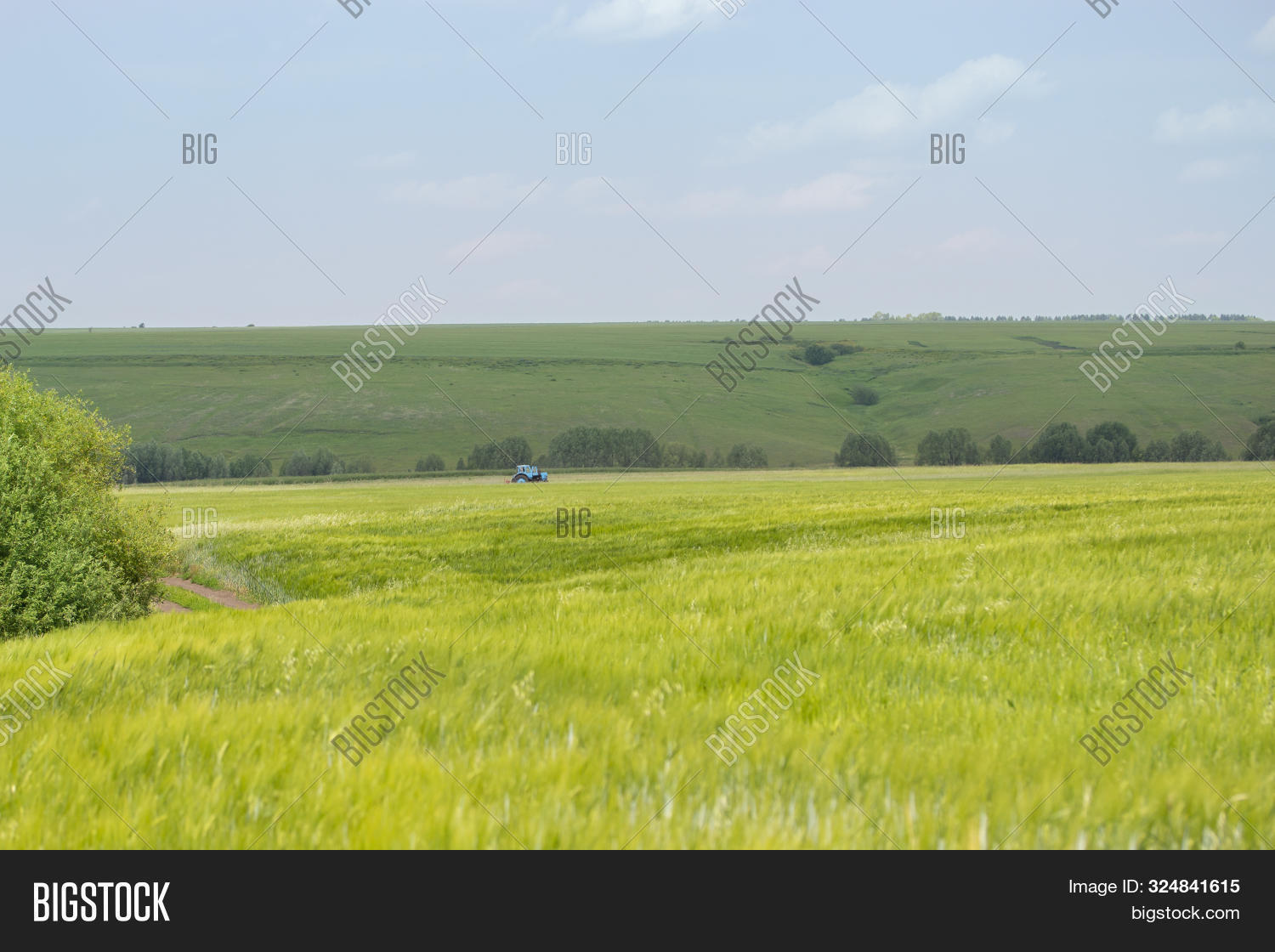 Idyllic Sunny Rural Image & Photo (Free Trial) | Bigstock