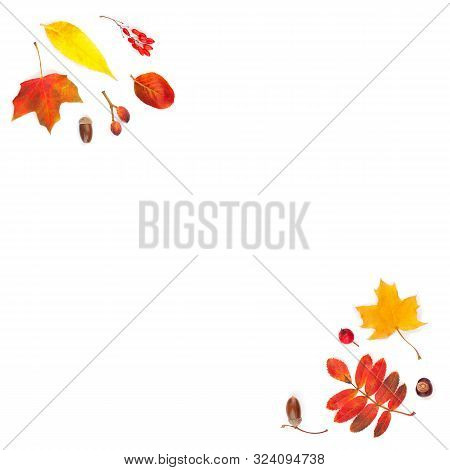 Fall Leaves Corners Image & Photo (Free Trial) | Bigstock