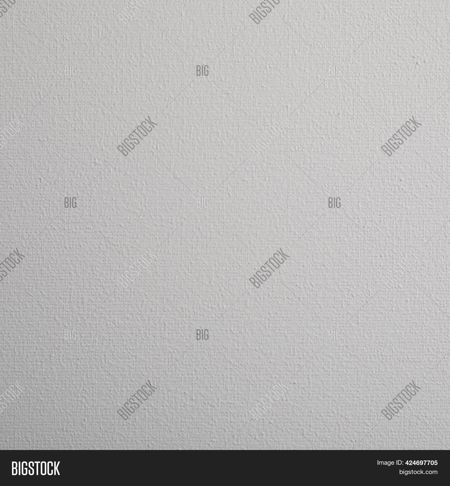 Blank White Canvas Image & Photo (Free Trial) | Bigstock