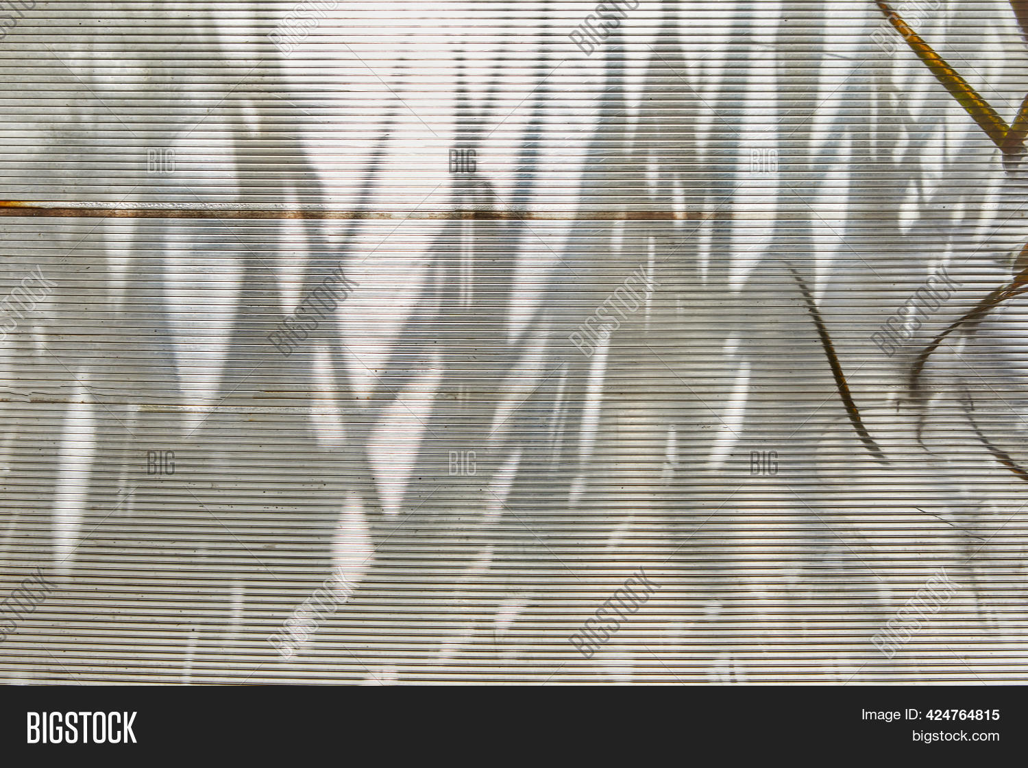 Textured Translucent Image & Photo (Free Trial) | Bigstock