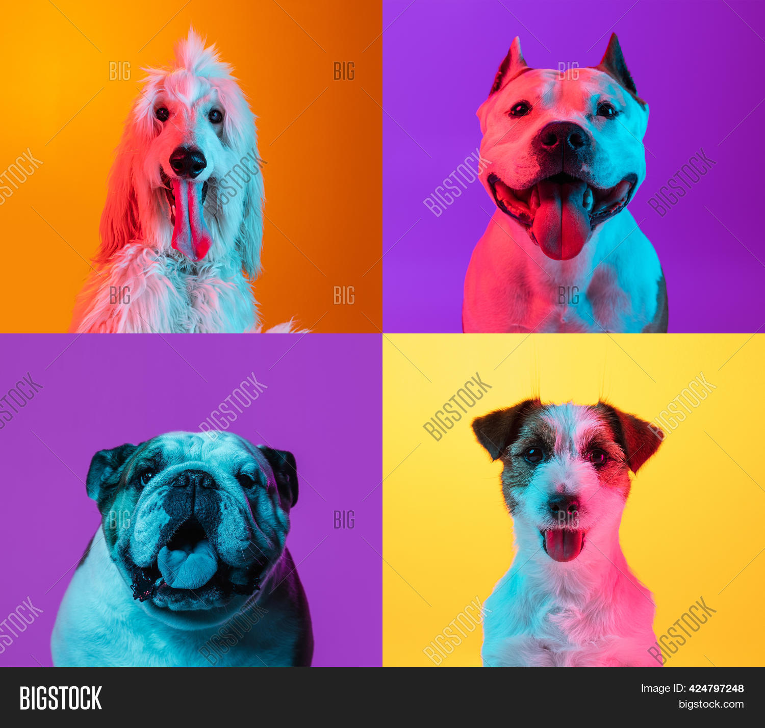 Art Collage Made Funny Image & Photo (Free Trial) | Bigstock