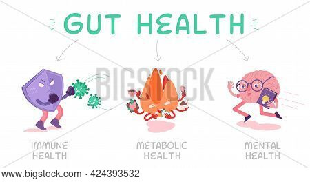 Why Gut Health Vector & Photo (Free Trial) | Bigstock
