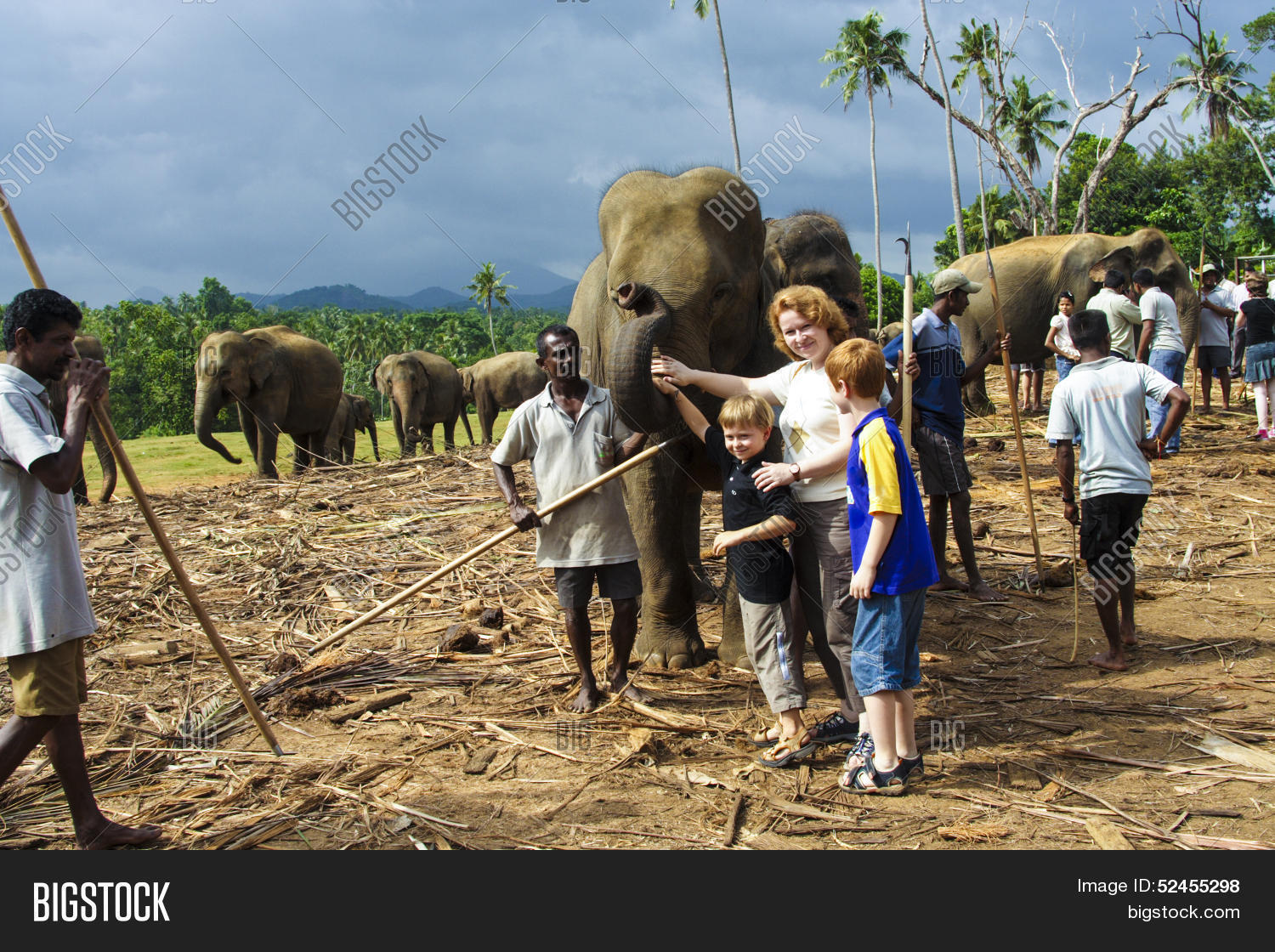 Children Hug Elephants Image & Photo (Free Trial) | Bigstock