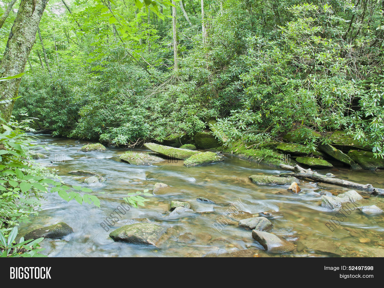 Blue Ridge Creek Image & Photo (Free Trial) | Bigstock