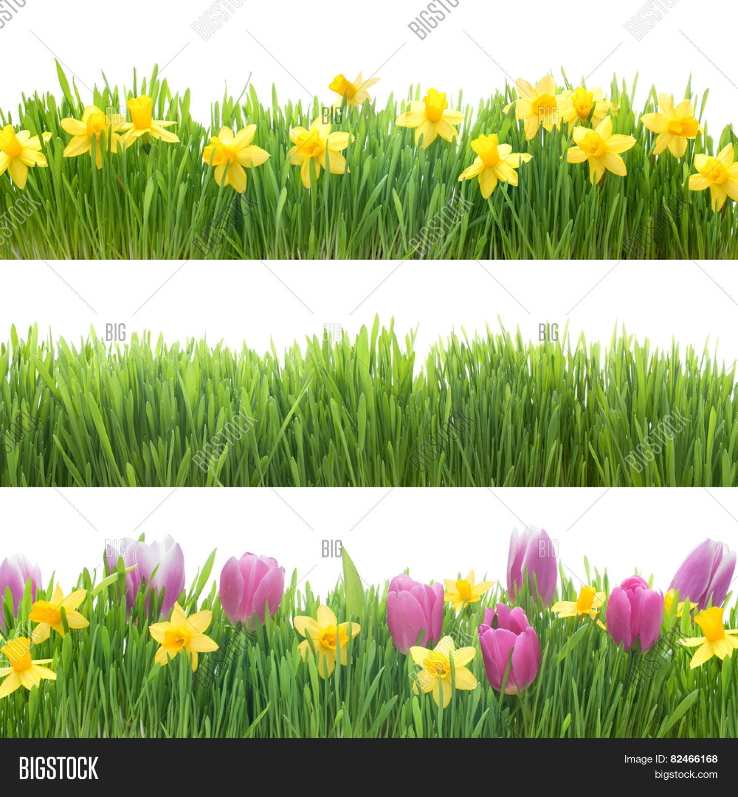 Green Grass Spring Image & Photo (Free Trial) | Bigstock