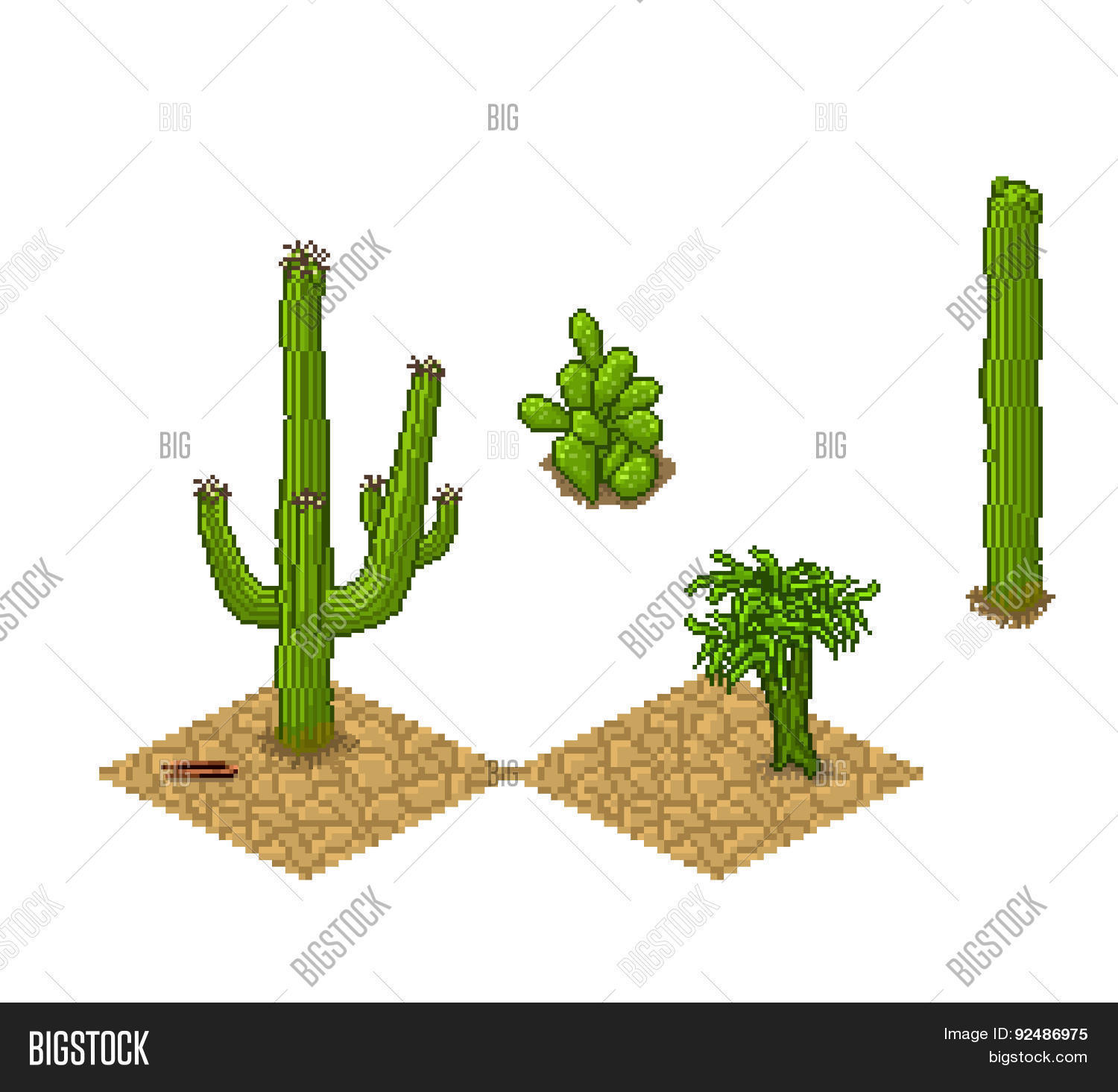 Pixel Art Cactus Vector & Photo (Free Trial) | Bigstock