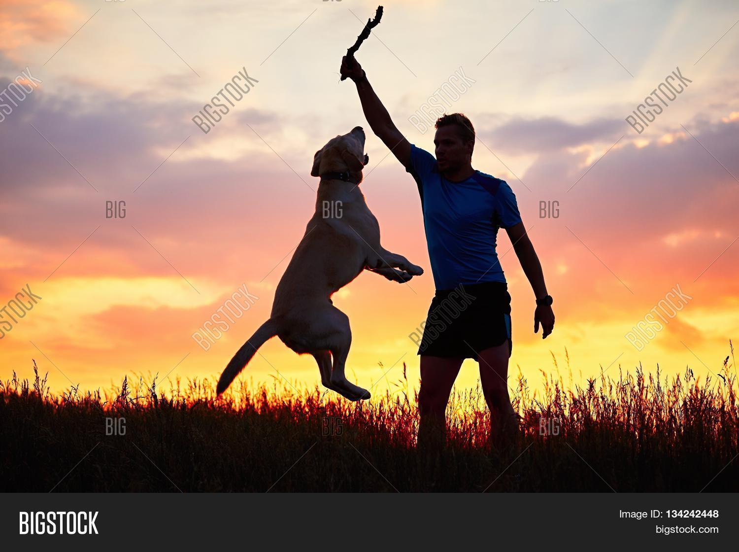 Man Playing Dog Image & Photo (Free Trial) | Bigstock