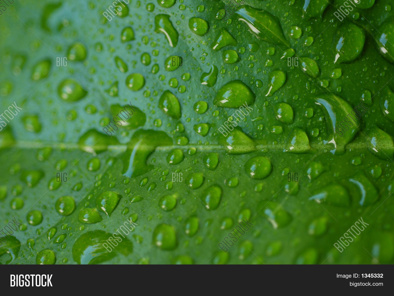 ภาพและภาพถ่าย (ทดลองใช้ฟรี) | Bigstock