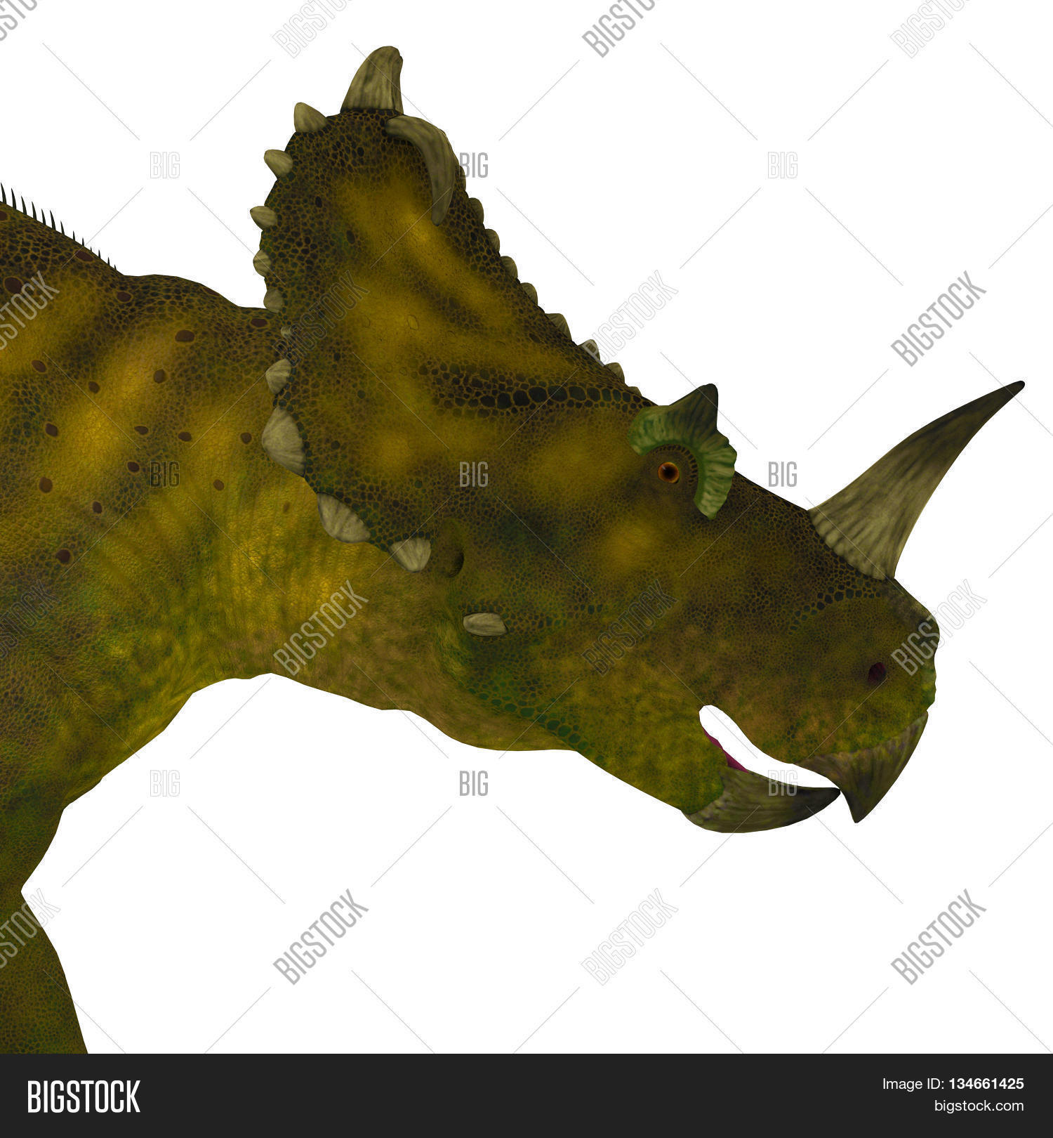 Centrosaurus Dinosaur Image & Photo (Free Trial) | Bigstock