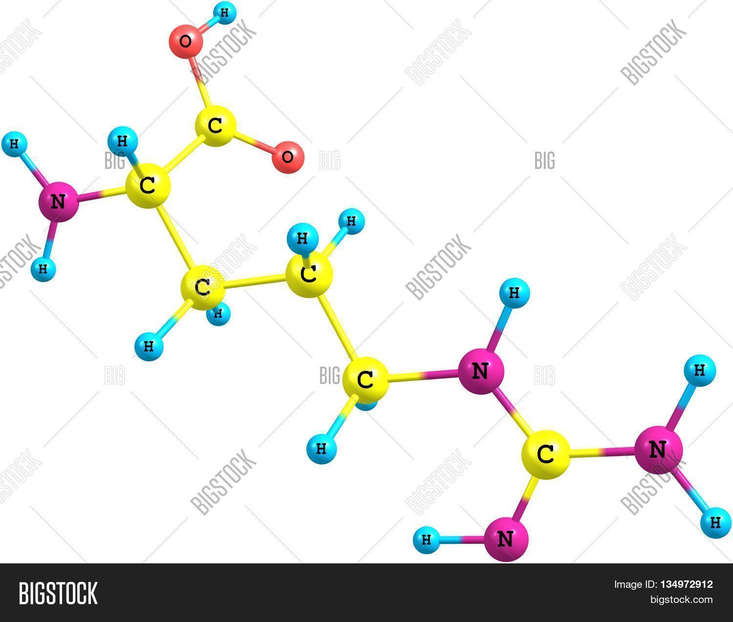 Model Amino Acid Image & Photo (Free Trial) | Bigstock