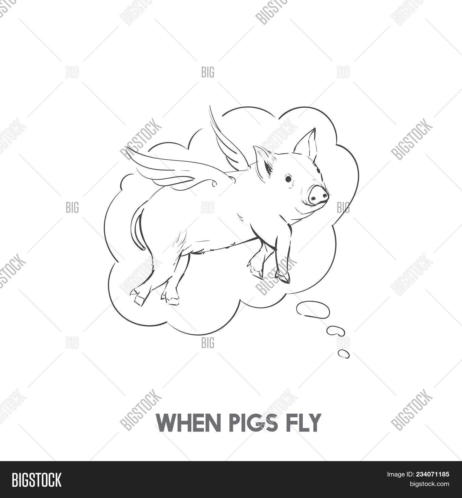 When Pigs Fly Idiom Image & Photo (Free Trial) | Bigstock