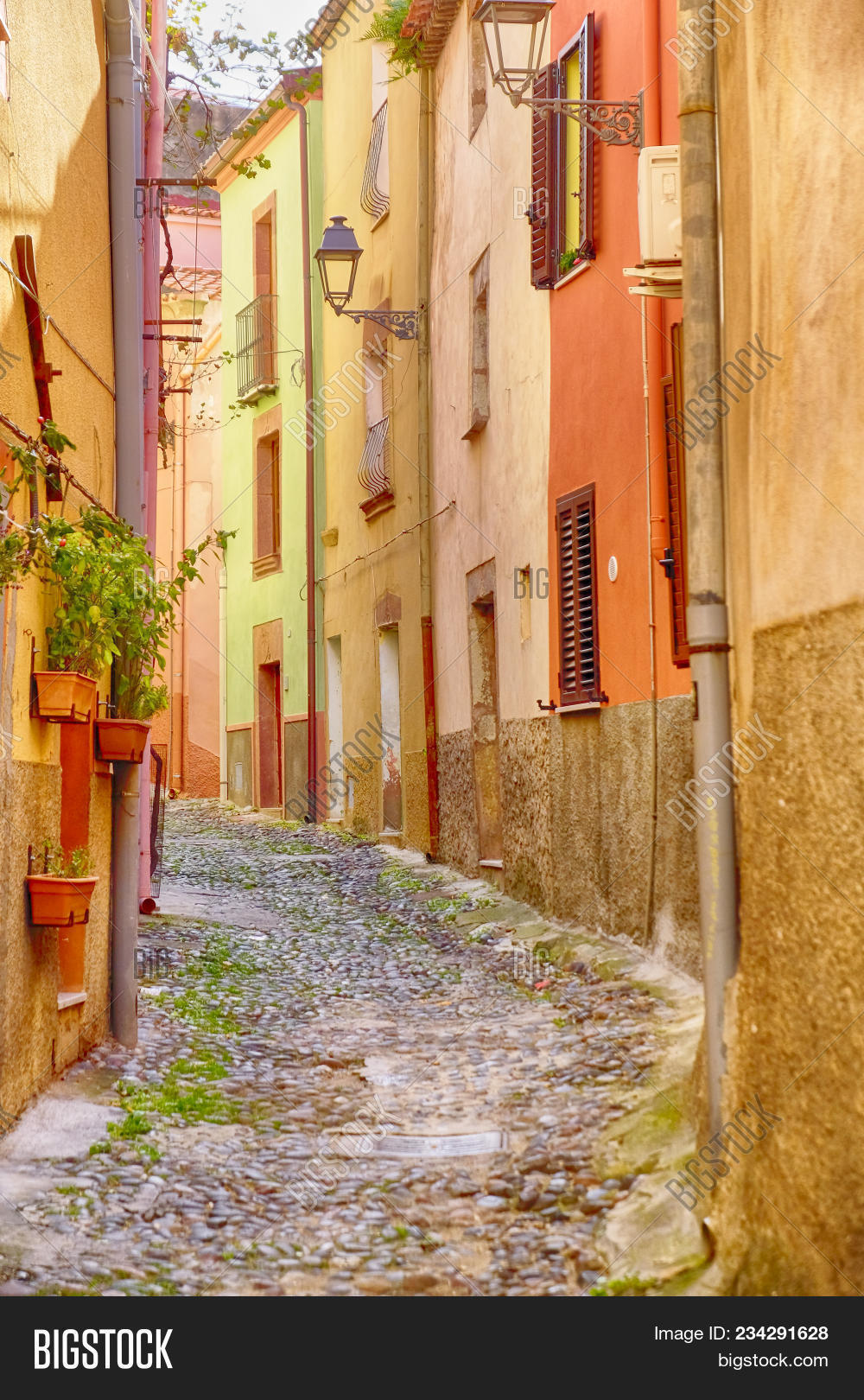 Colorful Street Image & Photo (Free Trial) | Bigstock