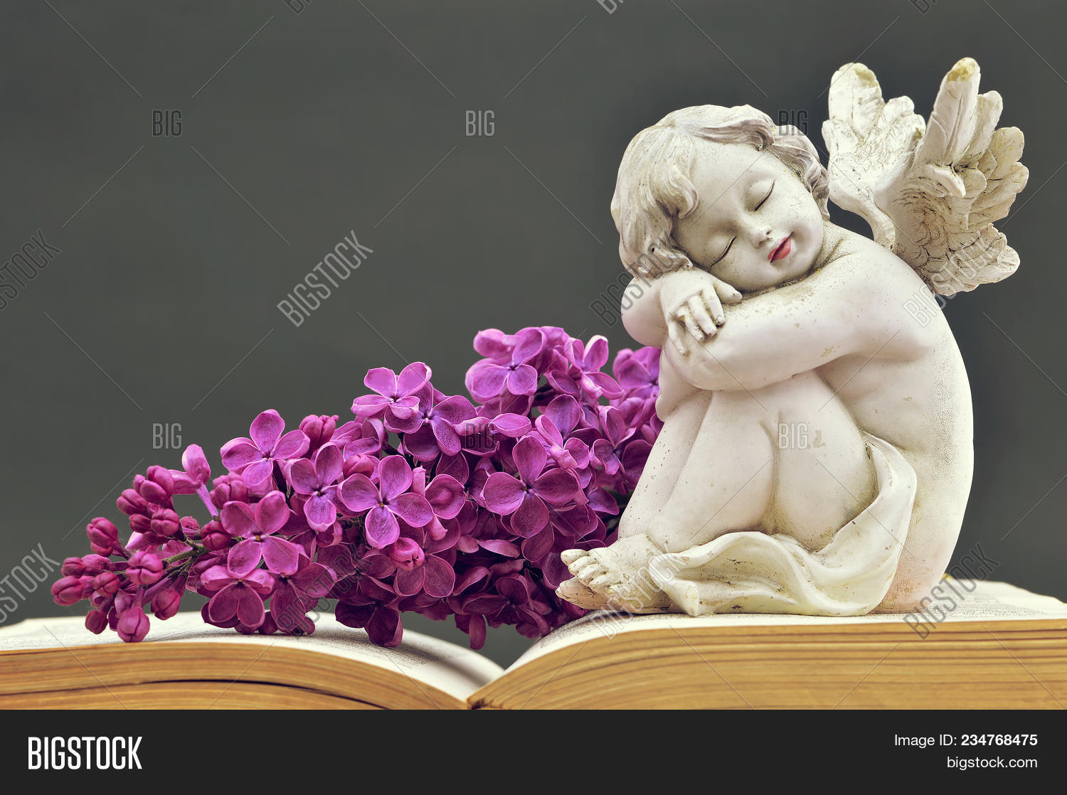 Condolence Card Angel Image & Photo (Free Trial) | Bigstock