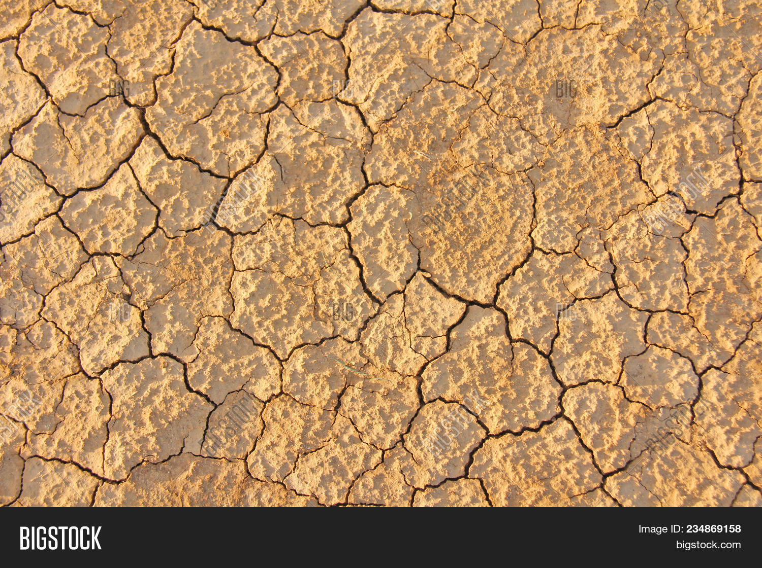 Barren Land Texture