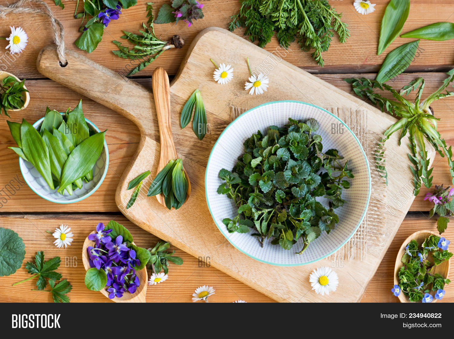 Fresh Wild Edible Image & Photo (Free Trial) | Bigstock