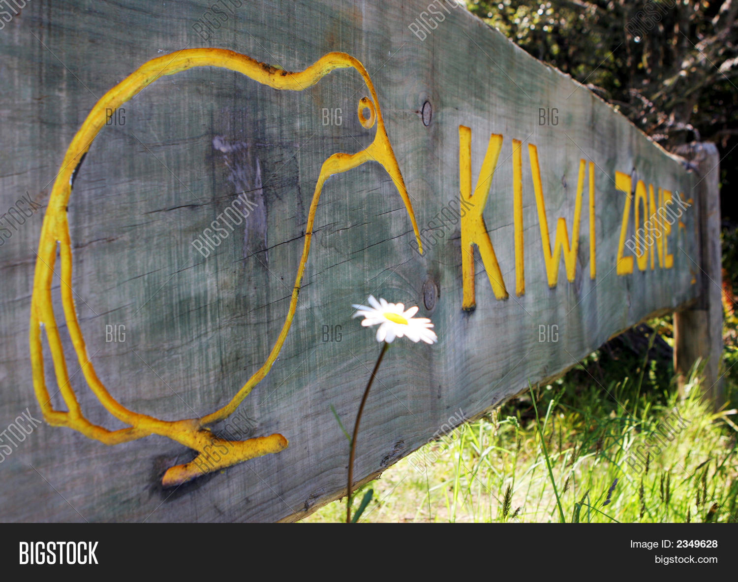 Kiwi Zone Sign Image & Photo (Free Trial) | Bigstock