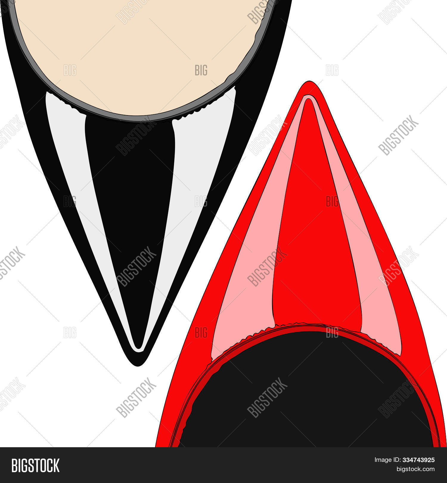 Detail Tip Two Image & Photo (Free Trial) | Bigstock