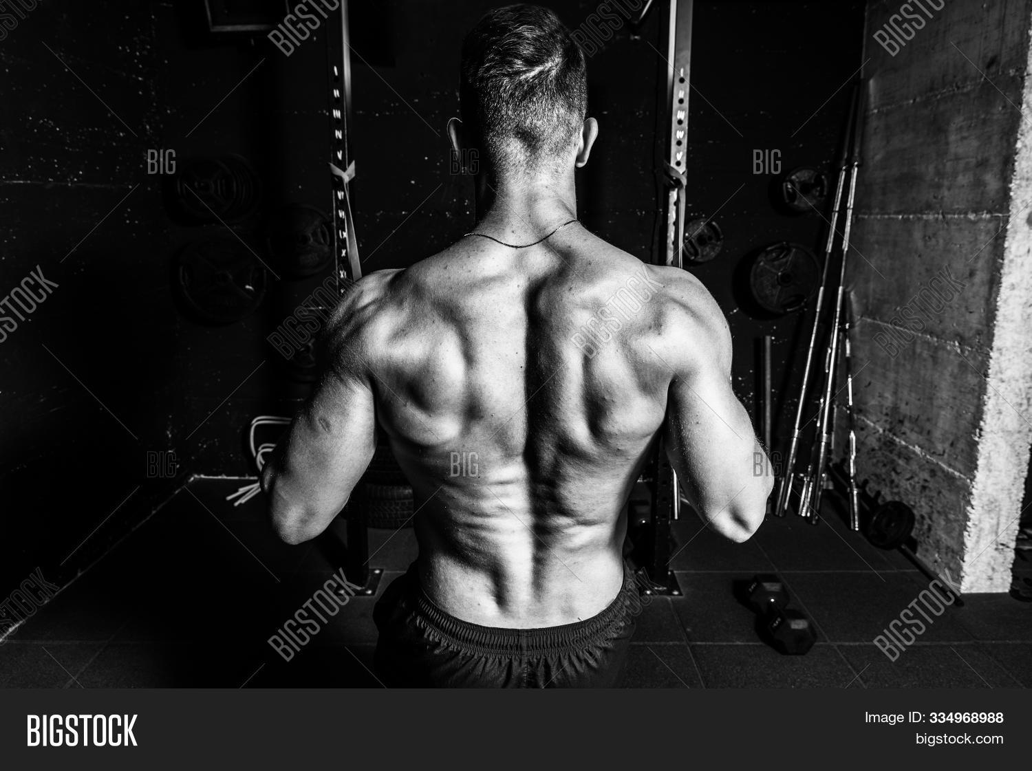Back Muscle Workout, Image & Photo (Free Trial) | Bigstock