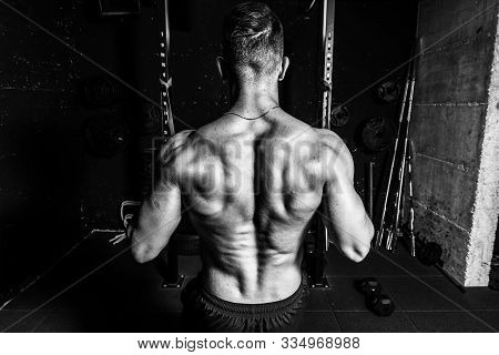 Back Muscle Workout, Image & Photo (Free Trial) | Bigstock