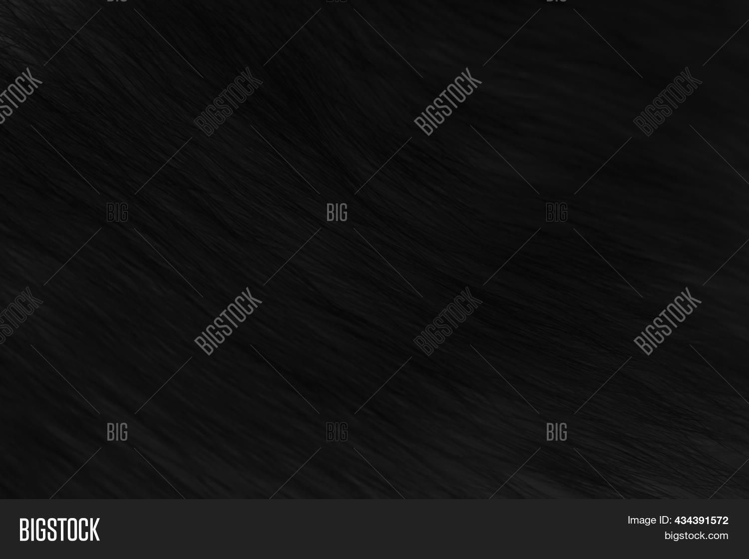 Black Cat Hair Texture Image & Photo (Free Trial) | Bigstock
