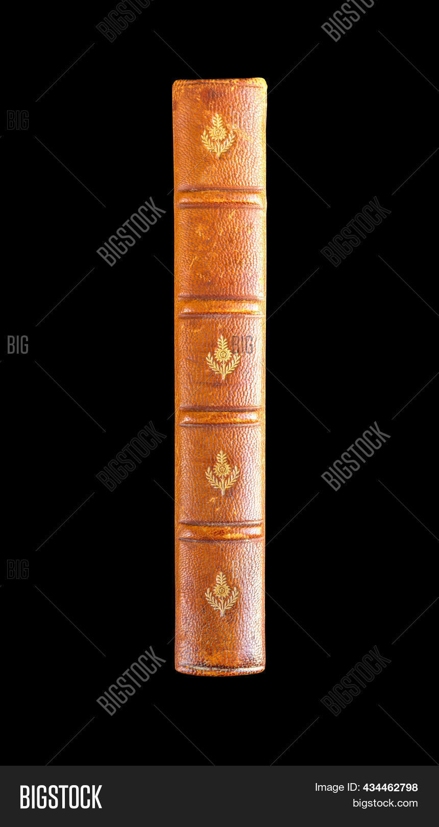 Old Vintage Book Spine Image & Photo (Free Trial) | Bigstock