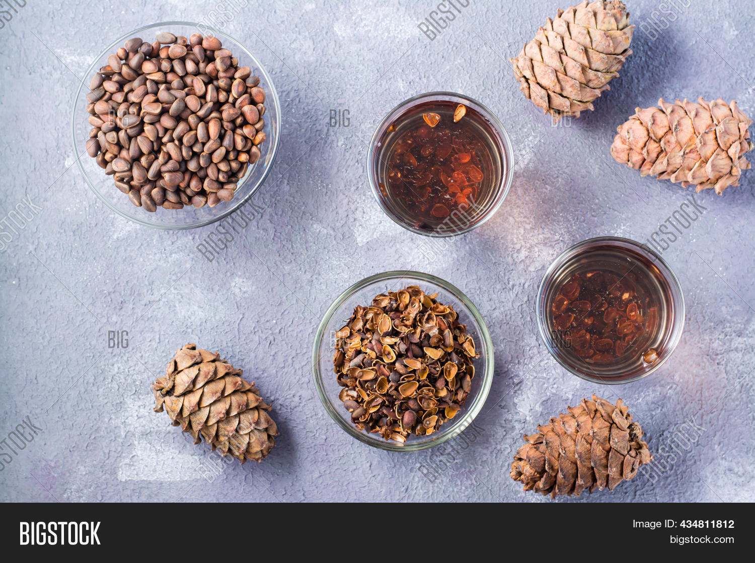 Infusion Pine Nut Image & Photo (Free Trial) | Bigstock