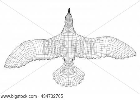 Flying Bird Wireframe Vector & Photo (Free Trial) | Bigstock