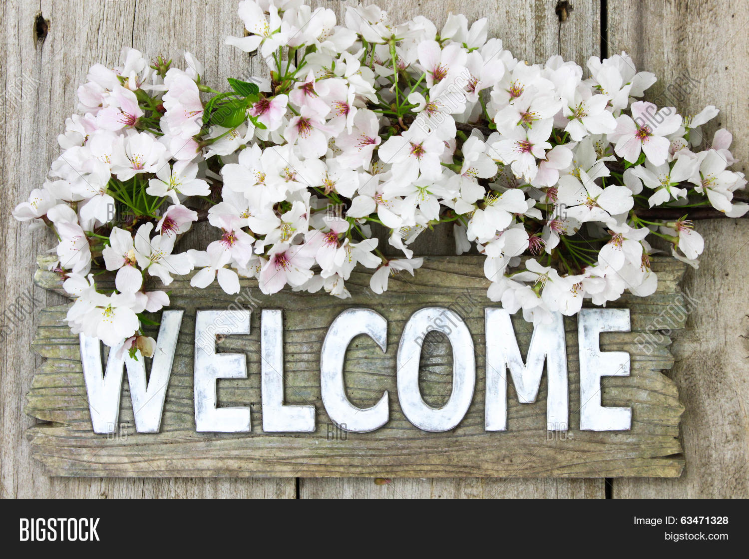 Welcome Sign Pear Tree Image & Photo (Free Trial) | Bigstock