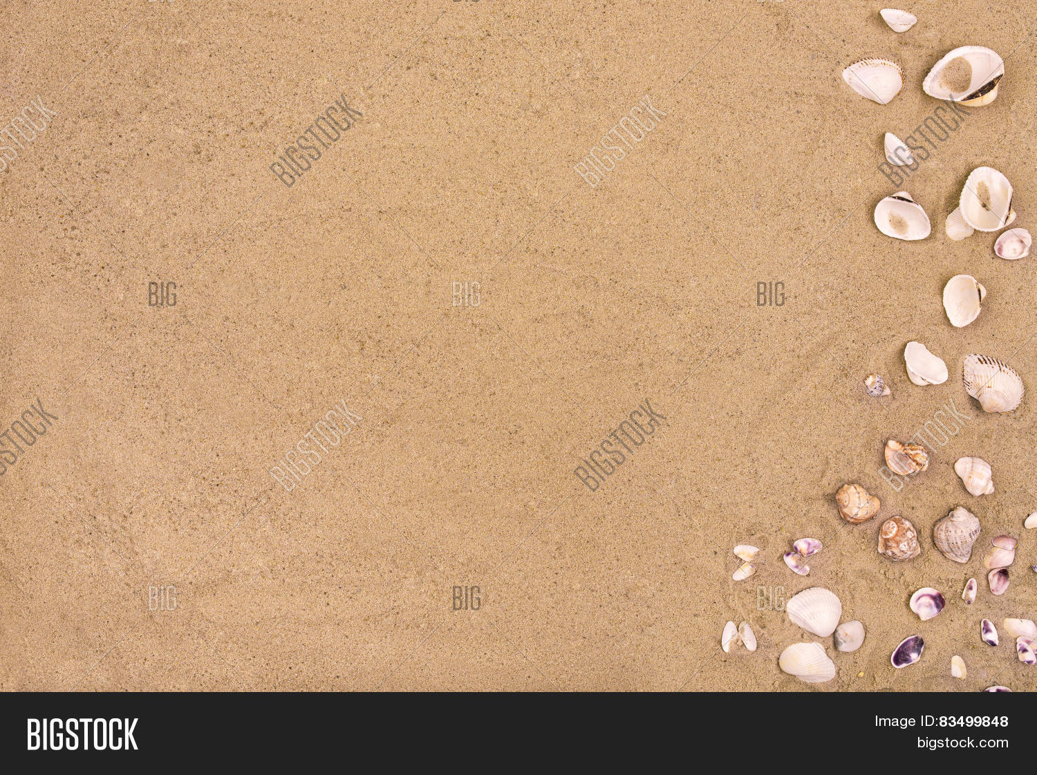 Sandy Beach Background Image & Photo (Free Trial) | Bigstock