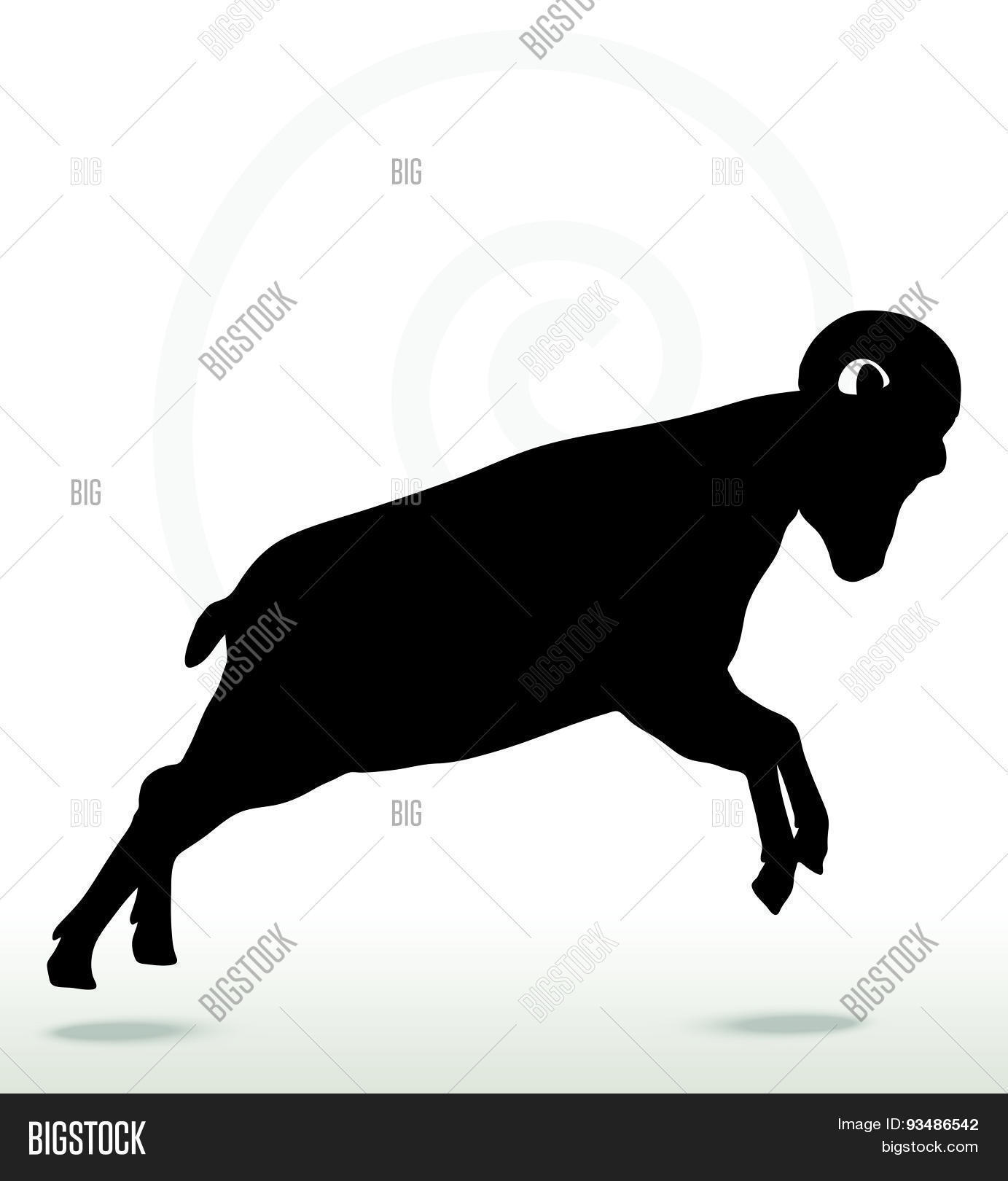 Big Horn Sheep Vector & Photo (Free Trial) | Bigstock