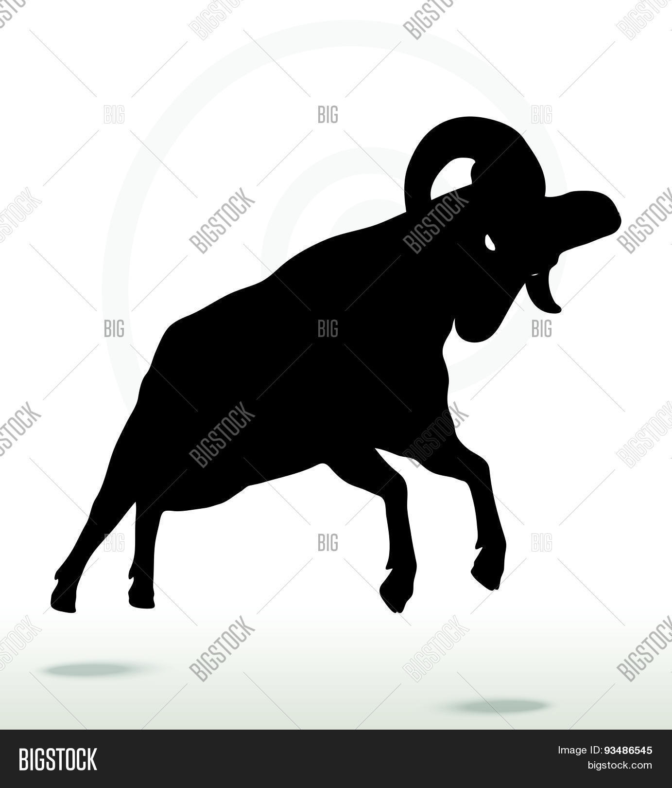 Big Horn Sheep Vector & Photo (Free Trial) | Bigstock