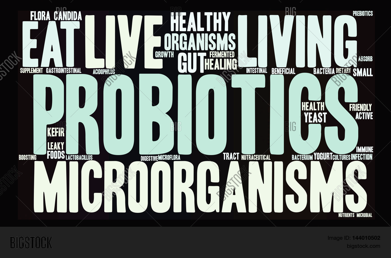 Probiotics Word Cloud Vector & Photo (Free Trial) | Bigstock