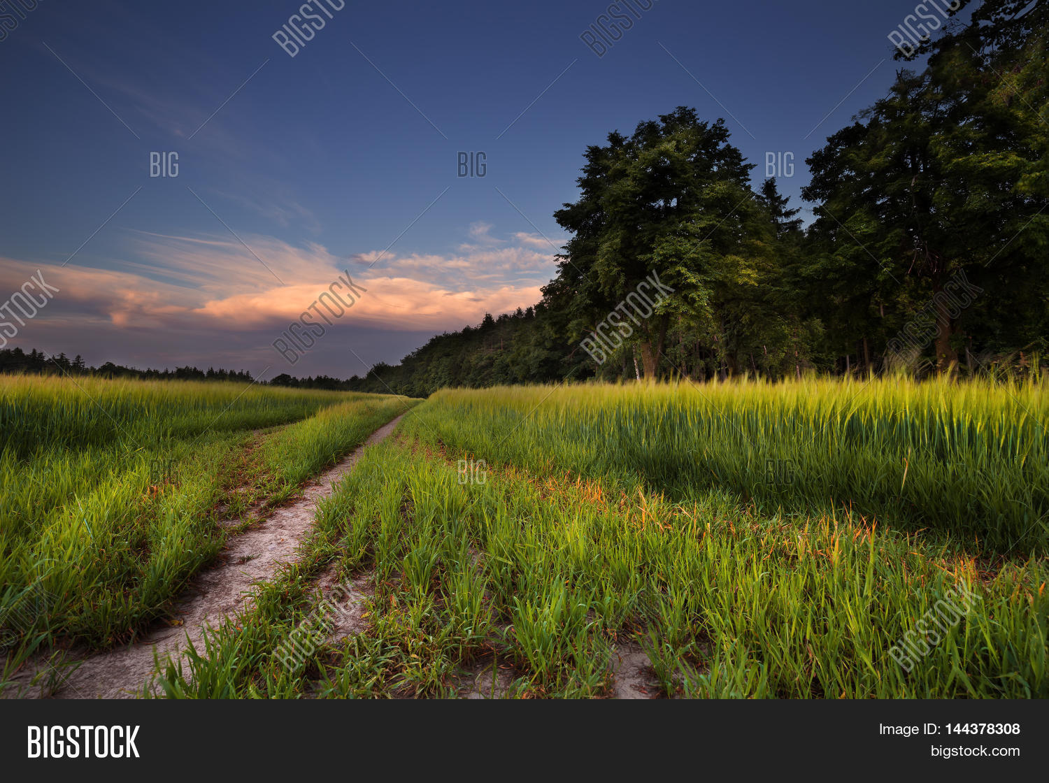 Nice View Field Path Image & Photo (Free Trial) | Bigstock
