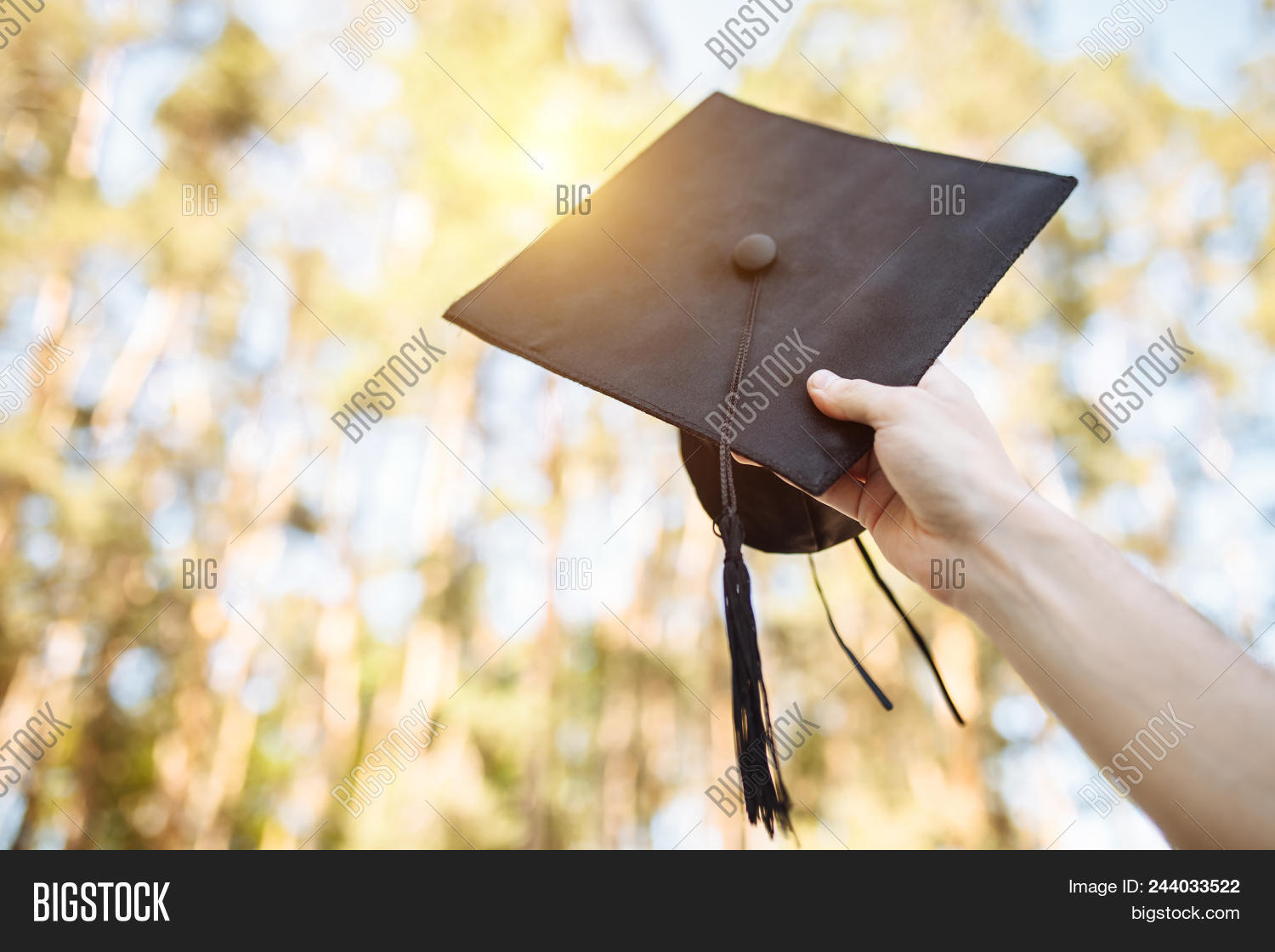 Successful Graduate, Image & Photo (Free Trial) | Bigstock