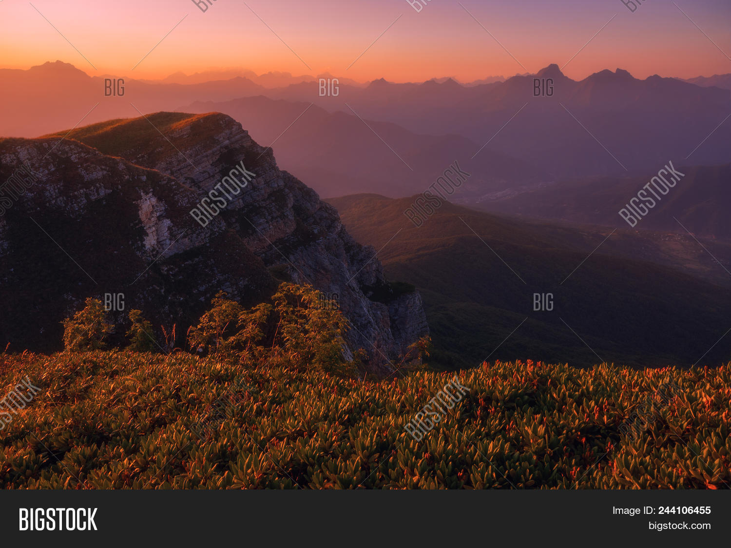 Beautiful Idyllic Image & Photo (Free Trial) | Bigstock