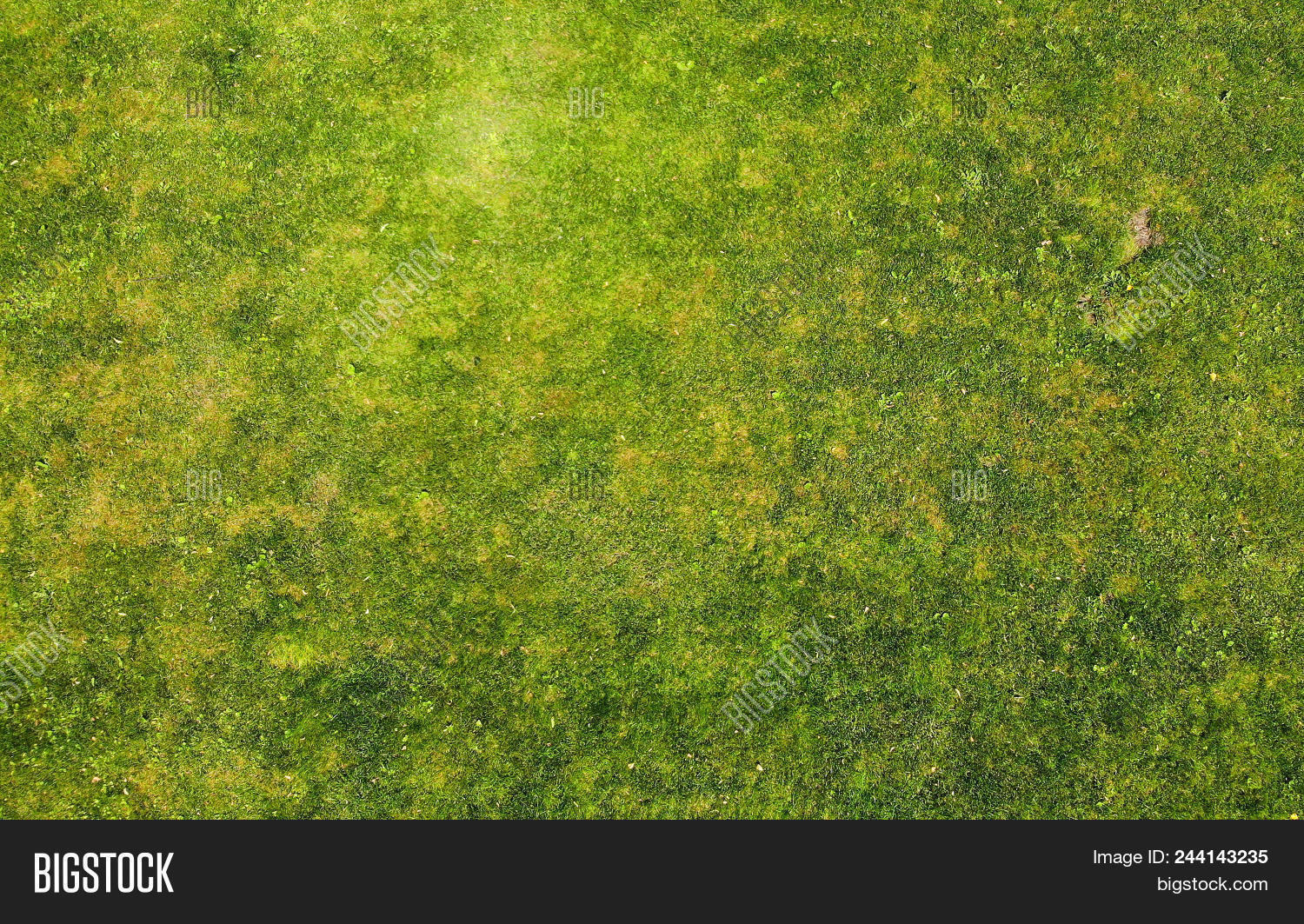 Grass Texture. Aerial Image & Photo (Free Trial) | Bigstock