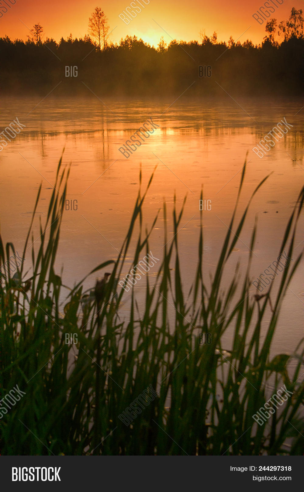 Calm, Pleasant Warm Image & Photo (Free Trial) | Bigstock