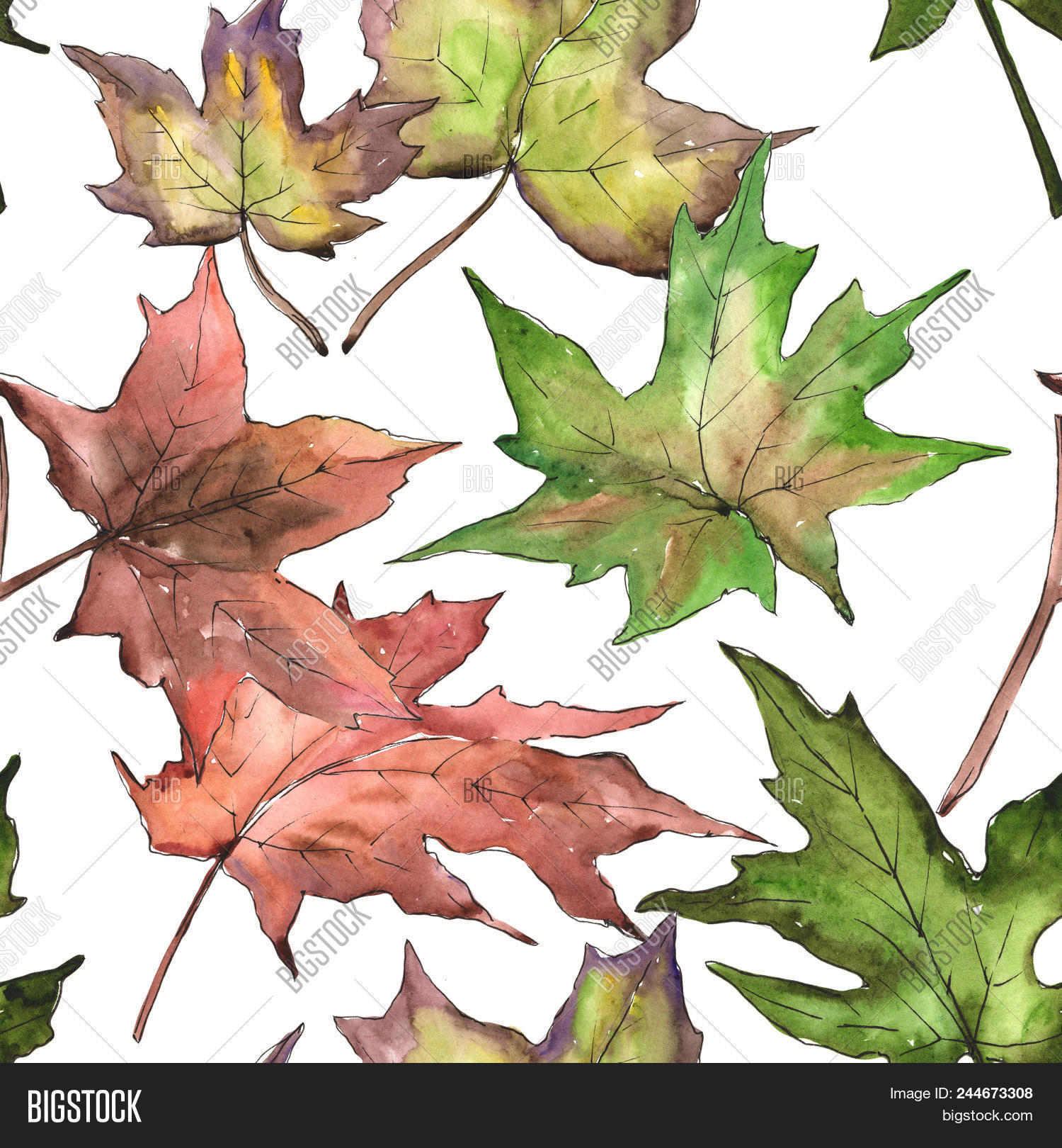 Maple Leaves Image & Photo (Free Trial) | Bigstock