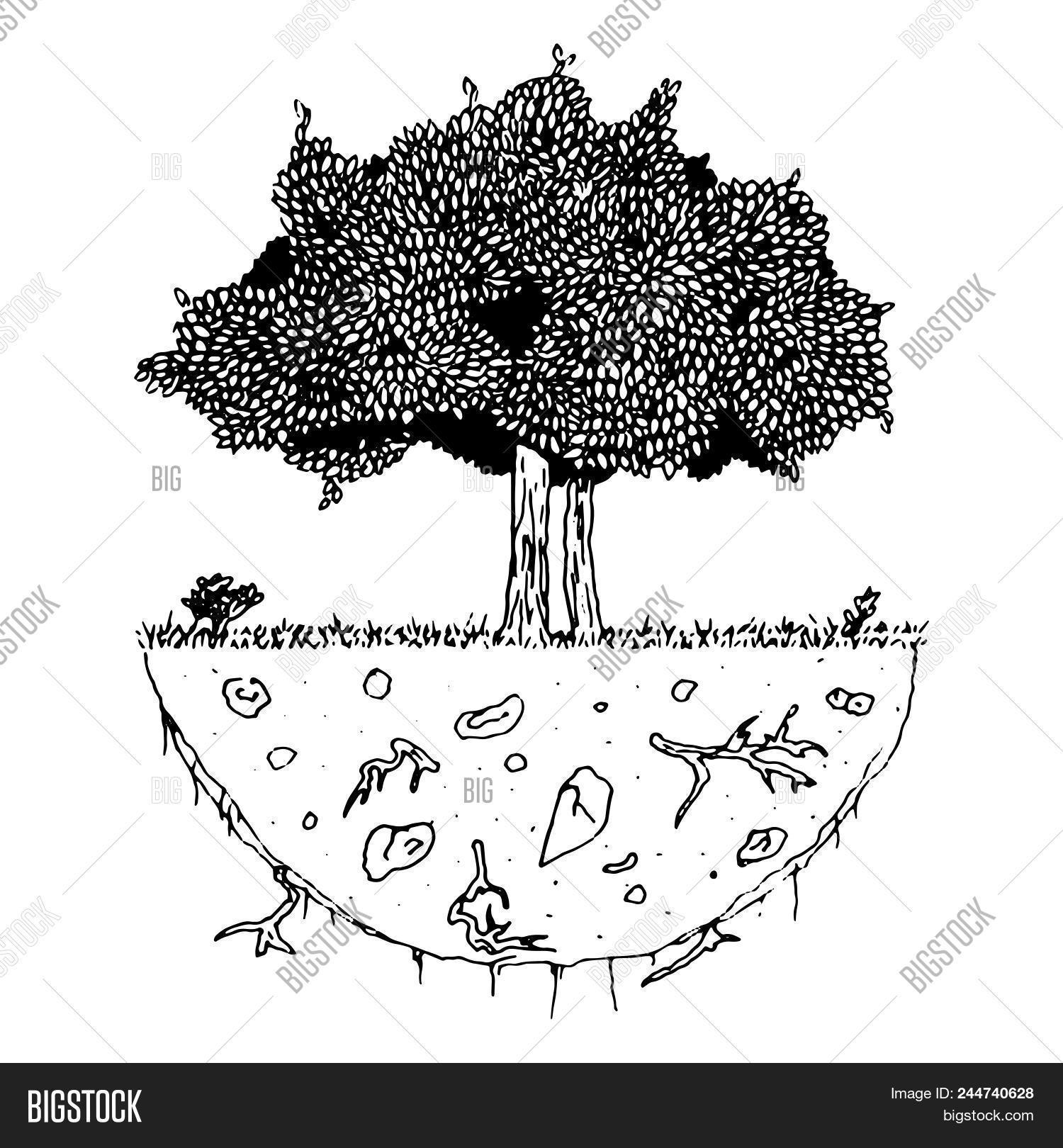 Clean Environment Clipart Black And White