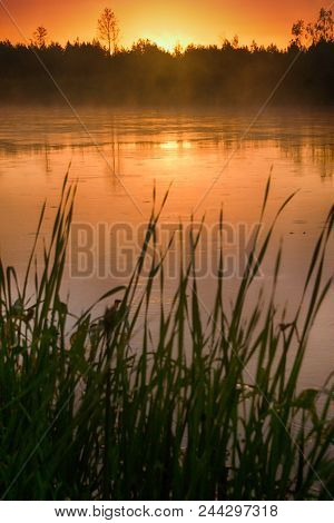 Calm, Pleasant Warm Image & Photo (Free Trial) | Bigstock