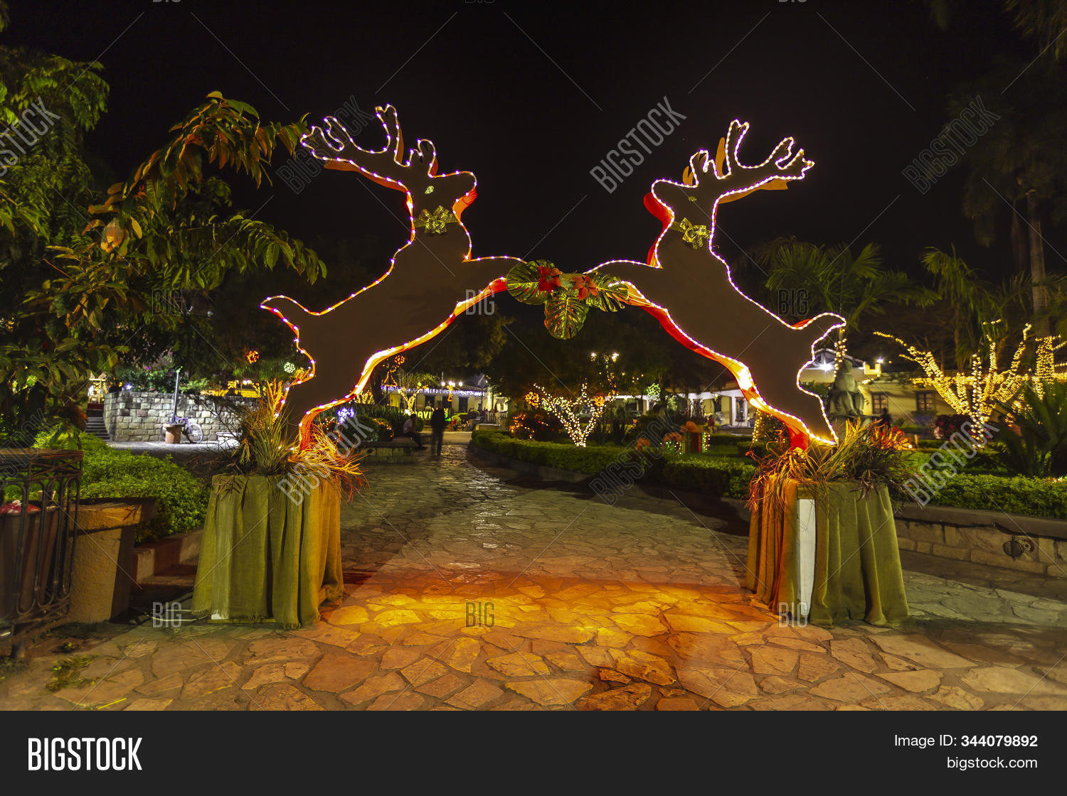 Reindeer Arch Image & Photo (Free Trial) | Bigstock