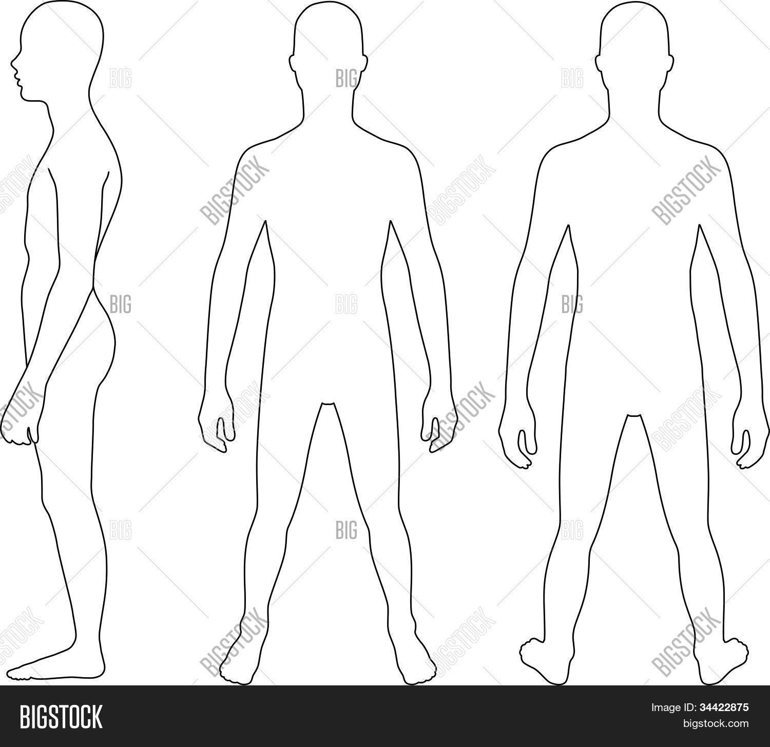 Full Length Profile, Vector & Photo (Free Trial) | Bigstock