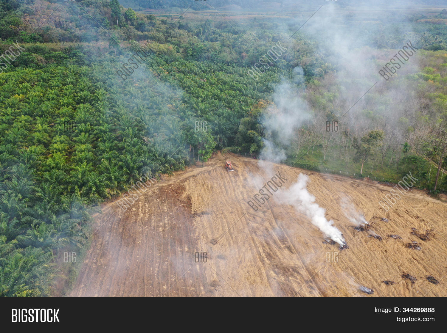 Deforestation. Land Image & Photo (Free Trial) | Bigstock