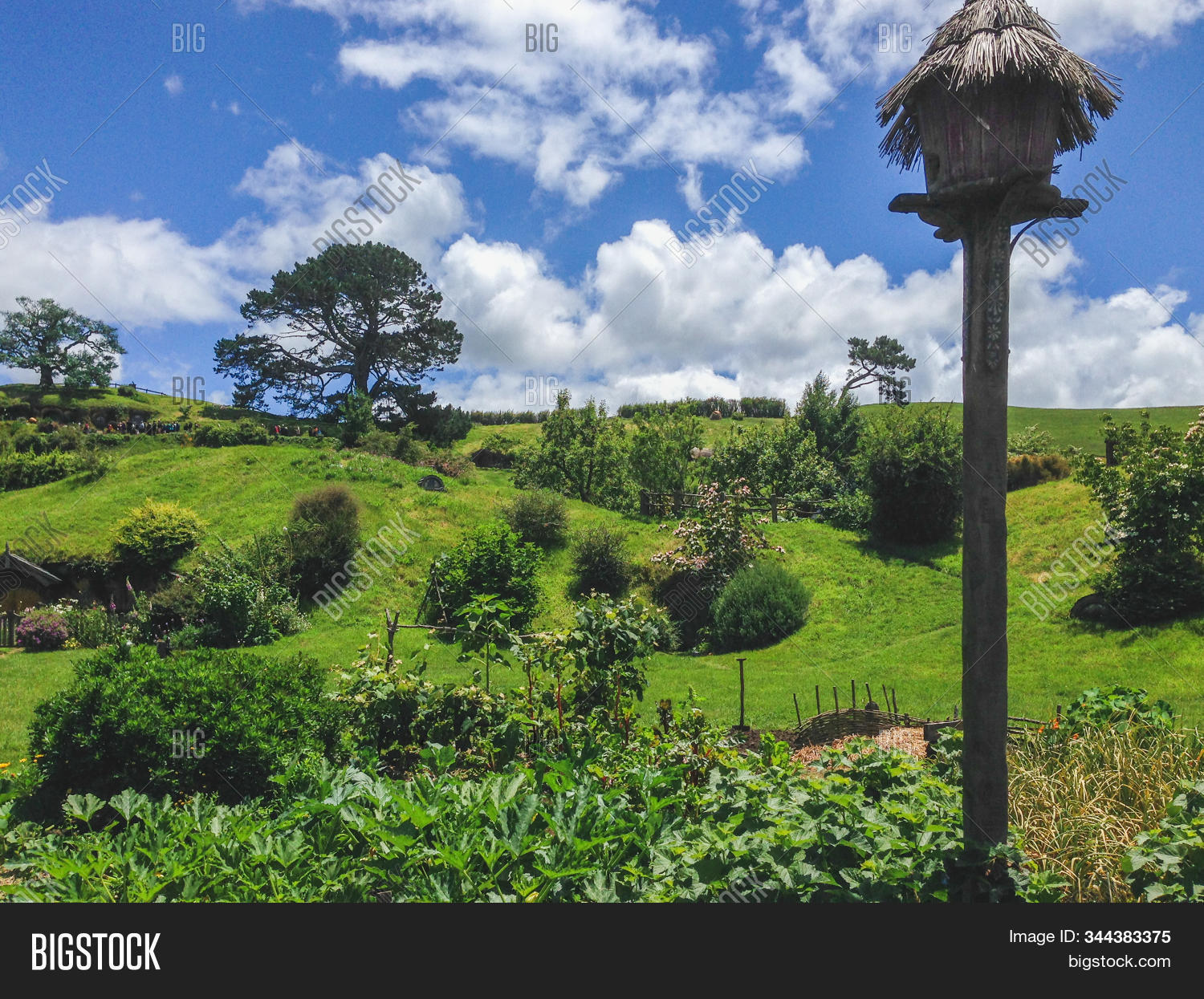 Matamata, New Zealand Image & Photo (Free Trial) | Bigstock