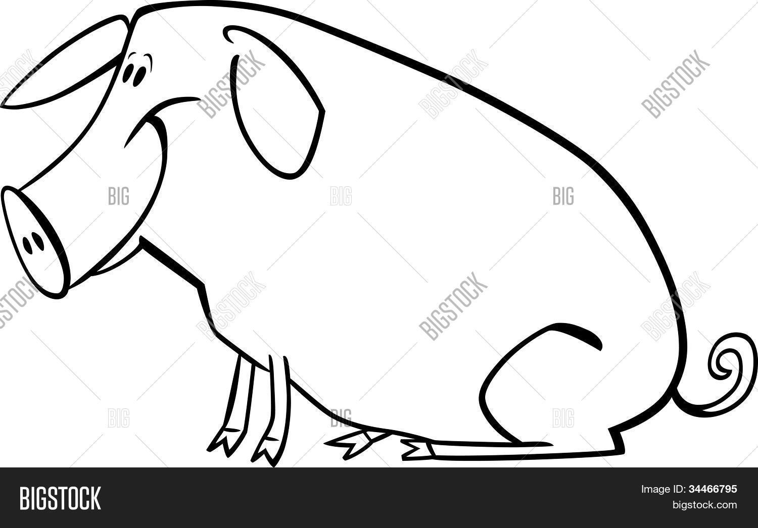 Cartoon Pig Coloring Vector & Photo (Free Trial) | Bigstock