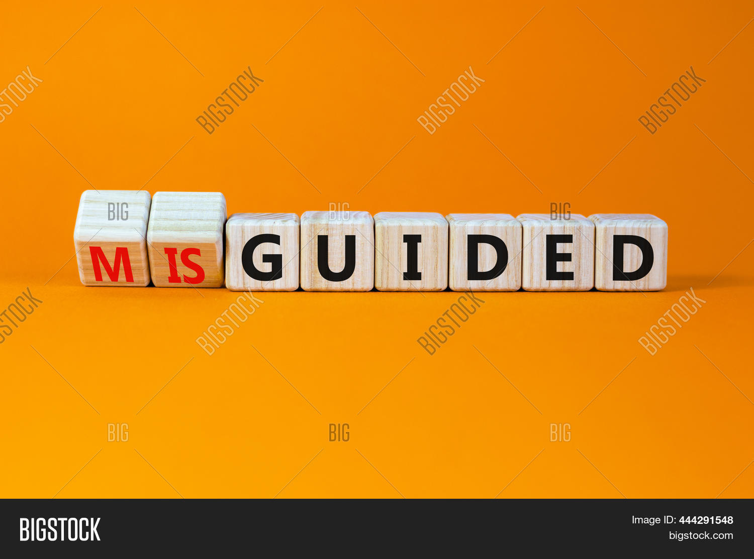 Guided Misguided Image & Photo (Free Trial) | Bigstock